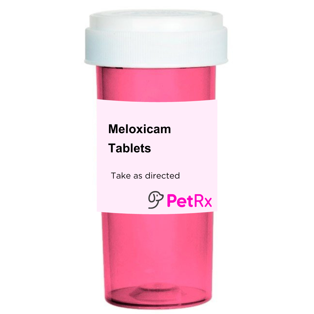 Meloxicam Tablets for Dogs — PETRX.com