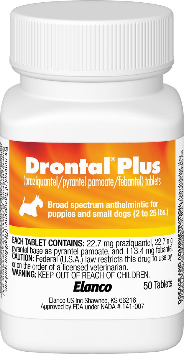 Drontal Plus Tablets for Dogs — PETRX.com