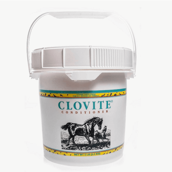 Clovite Conditioner and Vitamin Supplement — PETRX.com