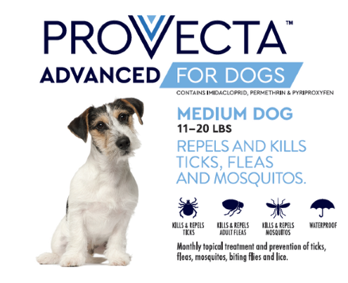 Provecta Advanced for Dogs — PETRX.com