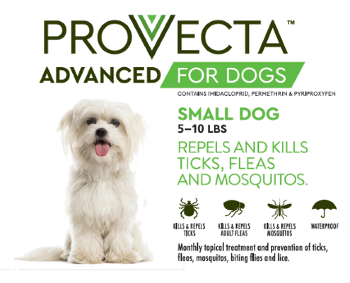 Provecta Advanced for Dogs — PETRX.com